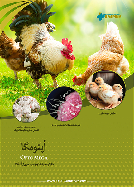 حاوی اسیدهای چرب ضروری امگا3